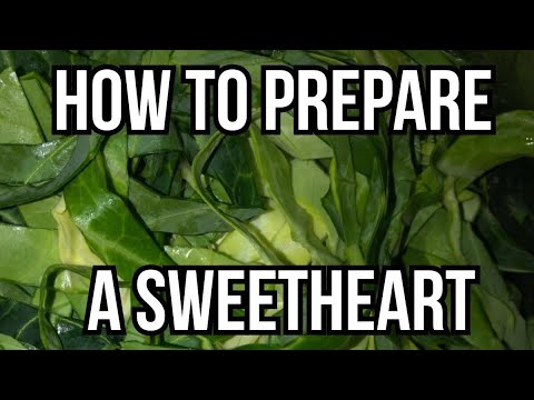 How to prepare a sweetheart cabbage