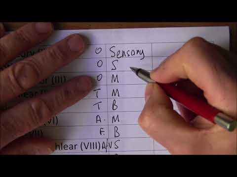 Easy ways to remember the cranial nerves Cranial nerves, Pneumonics and nuclei