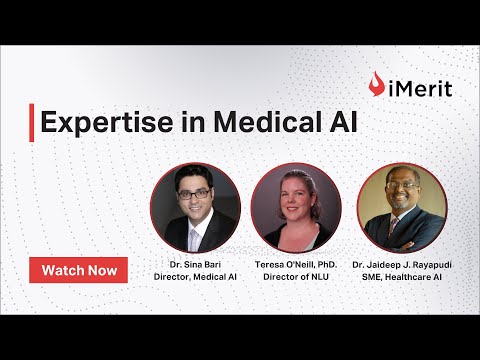 iMerit's Expertise in Medical AI Data Annotation Solutions