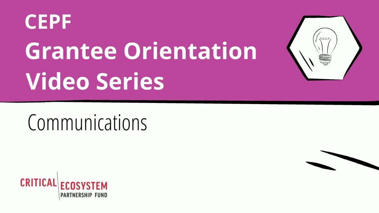 Grantee Orientation: Communications