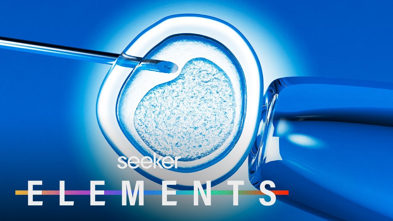 Why Scientists Might Drop the 14-Day Limit on Human Embryo Research