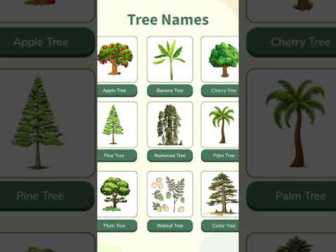 || Tree Name  English  in Important #Short feed video # Ayush Sinha Classes