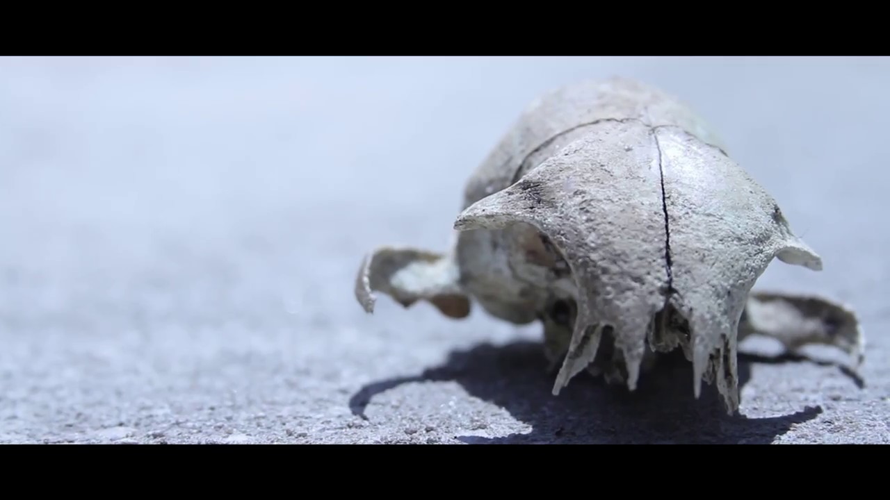 An Existential Crisis. (art film)