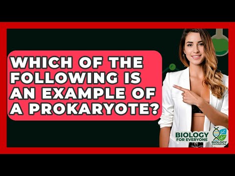 Which Of The Following Is An Example Of A Prokaryote? - Biology For Everyone