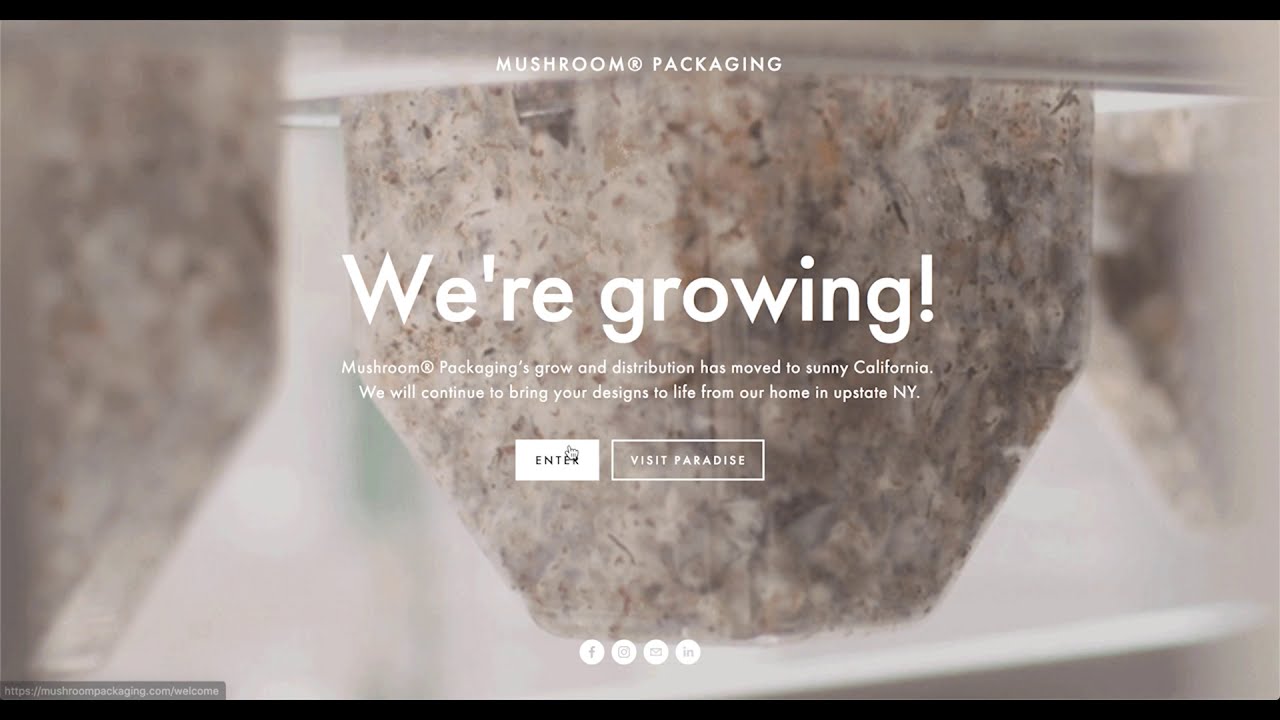 Mushroom® Packaging Intro: 100% Plastic-Free, Biodegradable Packaging You Can Compost