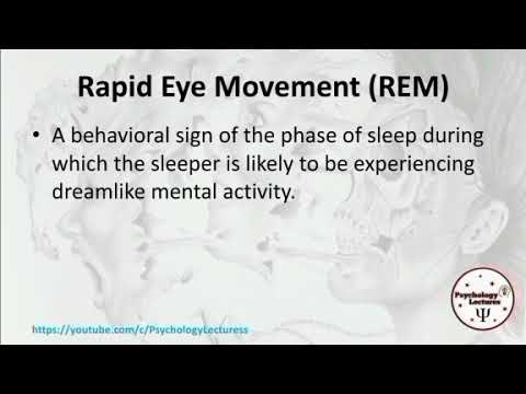 Rapid Eye Movement (REM) | Psychological Terminologies | Psychology Lectures | in Urdu and Hindi