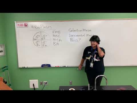 Selective and Differential Media
