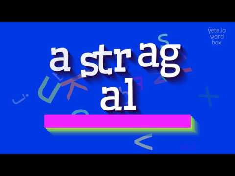 How to say "astragal"! (High Quality Voices)