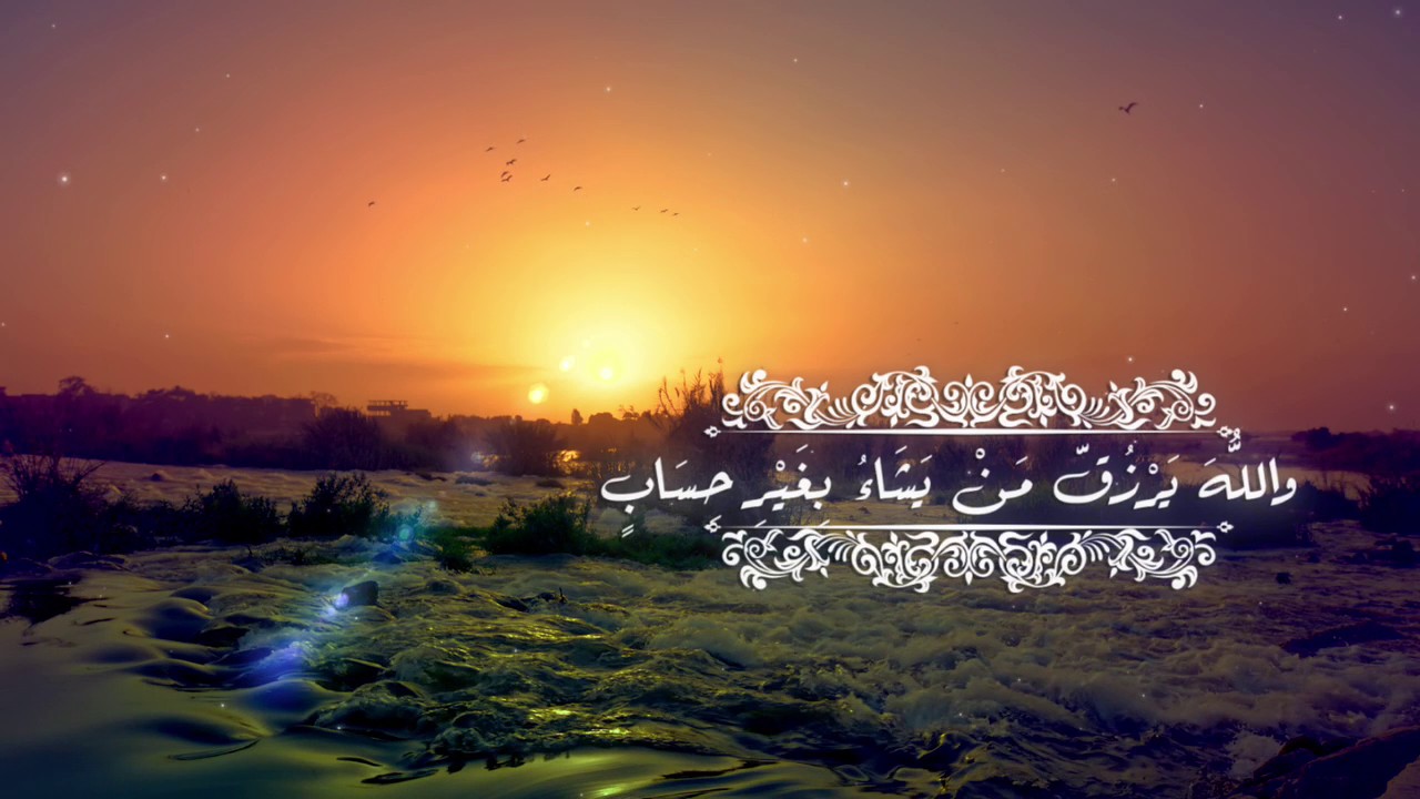 Captain boy | video gallery