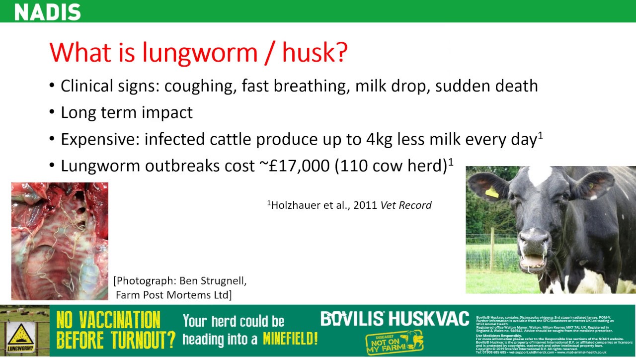 NADIS - National Animal Disease Information Service