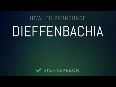 Dieffenbachia - How to pronounce Dieffenbachia