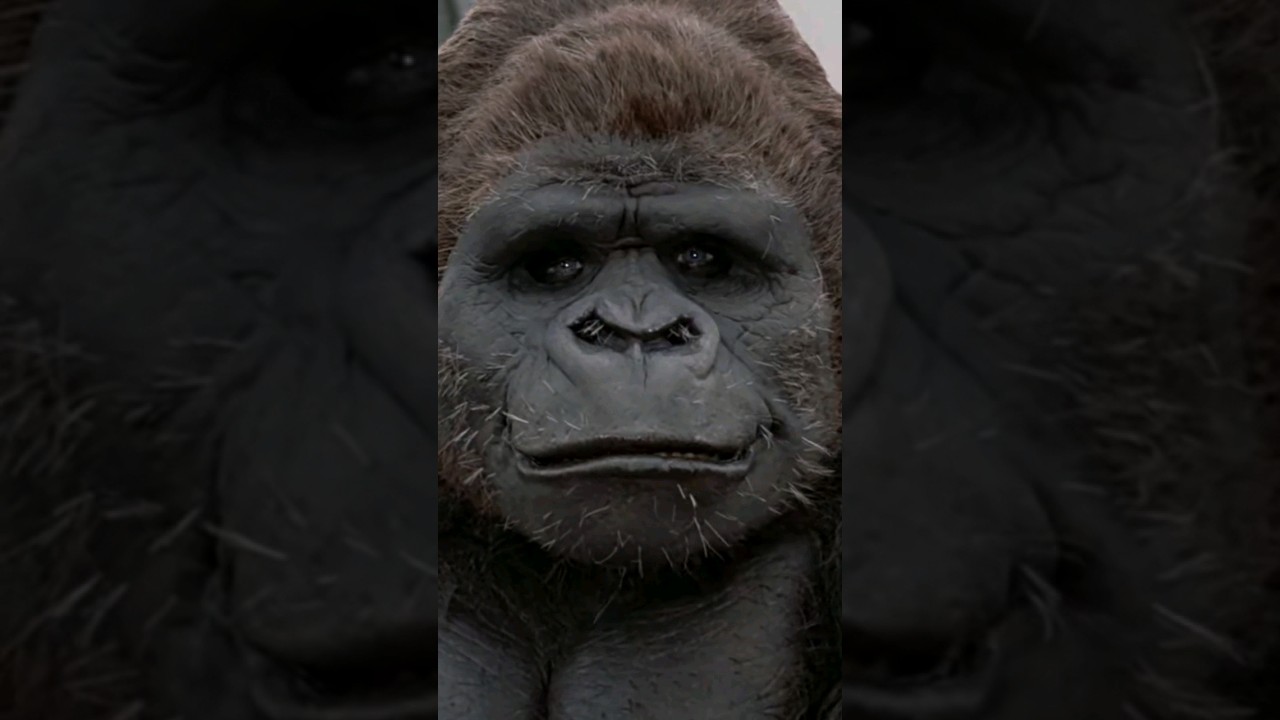 Orange Juice Pricing - The Coffee Shop - Slowtwitch Forum