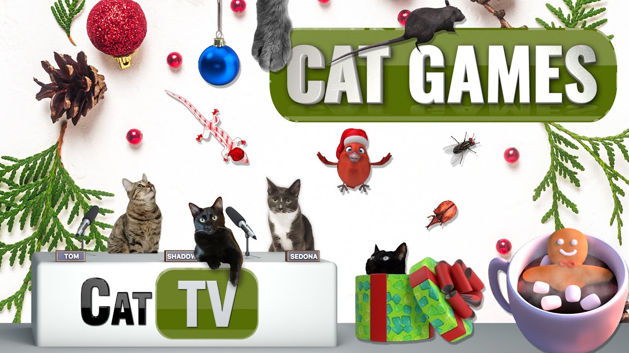 🎁🎄 Meowy Christmas Magic: Bugs, Lizards, and Mice Galore | Ultimate Christmas Cat TV Compilation🎅🏽❄️