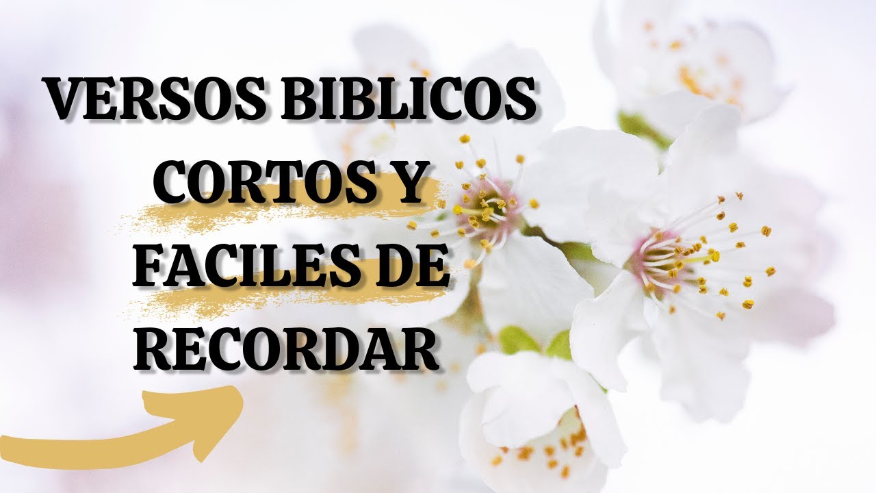 20 Hermosos Versos Biblicos Cortos Y Faciles Para Memorizar