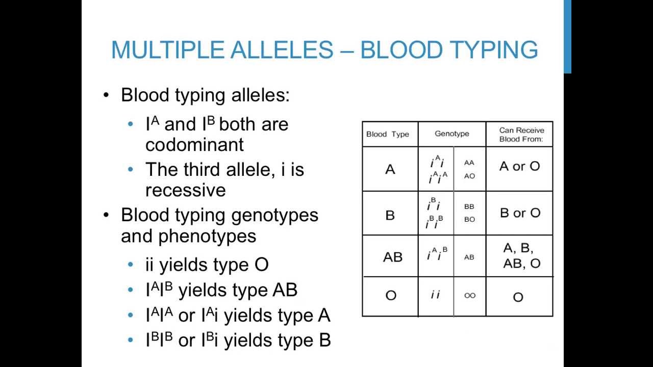 Punnett square practice problems (multiple alleles)