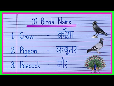 10 Birds Name in English and Hindi | Birds Name | पक्षियों के नाम | Bird Name