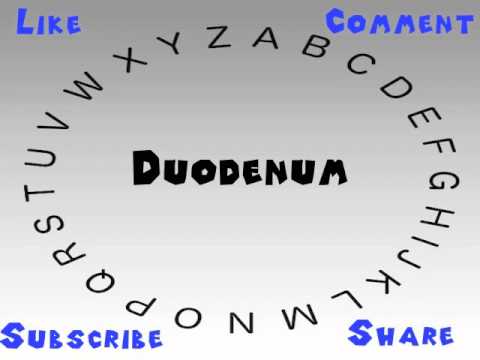 How to Say or Pronounce Duodenum