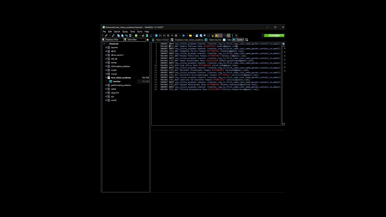 Create a database with HeidiSQL & using Insert Query into the table of the database & created table