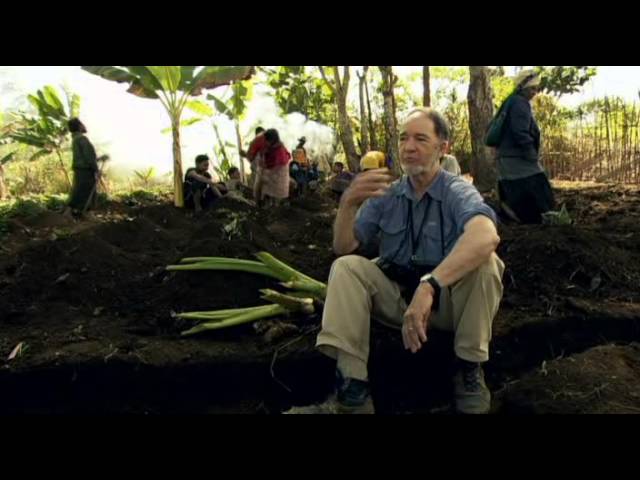 Understanding Inequality: The Insights of Guns, Germs, and Steel ...