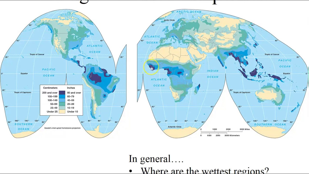 Global Precipitation Patterns