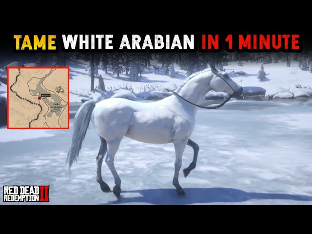 How to find and tame the White Arabian Horse in Red Dead Redemption 2