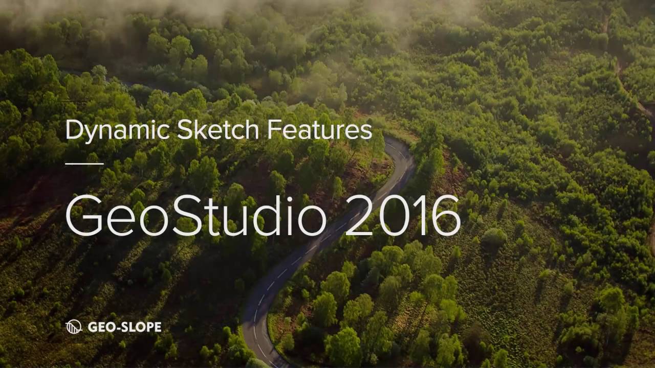 Dynamic Sketch Features