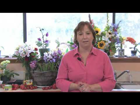 How to Become a Botanist