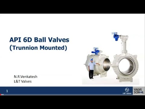 BDK Valves - Bdk 2 To 24 Inch Gate,Globe,Check Valve 150,300,600,900 ...