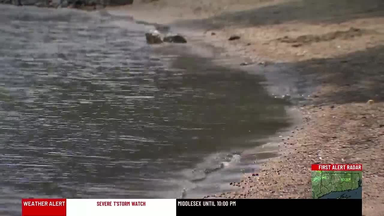 CT residents raise alarm over potentially toxic herbicide in local waters
