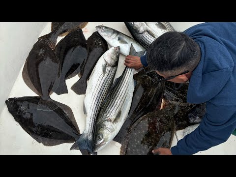 Hot Flutter Spoon Bass, Quality Fluke, and Suprises in the FOG! - Rhode Island Fishing in June