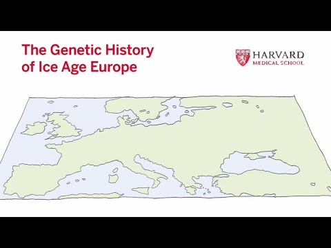 The Genetic History of Ice Age Europe | Transition Studies