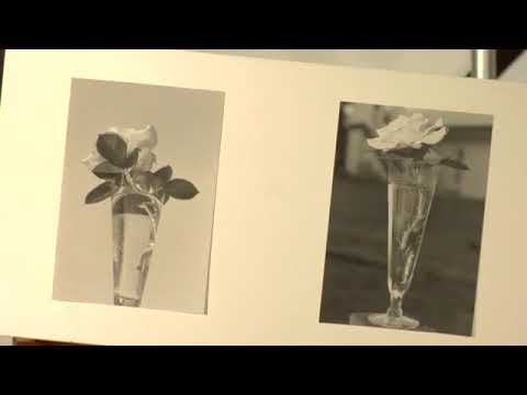 Photography & Viewpoint