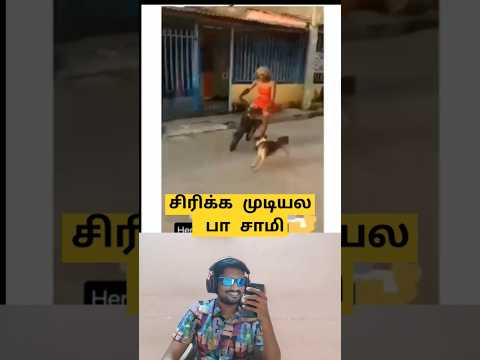 Dubbing dabba ultimate funny video???????? #funny #tamilshorts #tamilreels #animals #dog