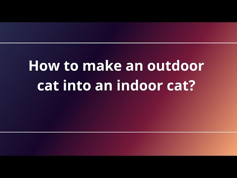 How to make an outdoor cat into an indoor cat?