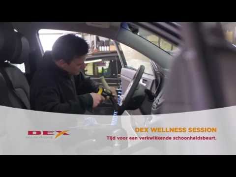 DEX car wellness