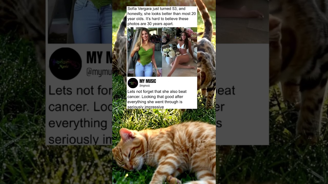 POV: Sofia Vergara at 53 is basically a glitch in the aging system that we all need to download! 😂🔥⏳