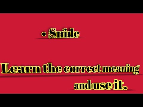 New word of vocabulary/Meaning of - Snide/#18
