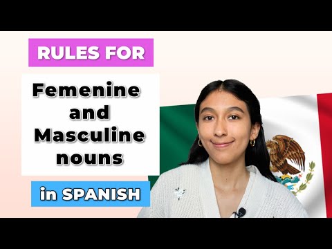 Everything about feminine and masculine nouns in Spanish