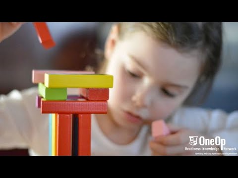 Behavior Basics: Laying the Groundwork for Positive Change