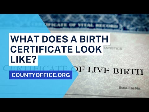What Does A Birth Certificate Look Like? - CountyOffice.org