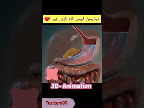How Drug absorbed in the body | Pharmacokinetics | 3D Animation #doctor