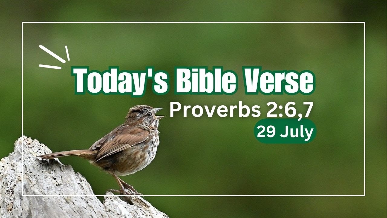 Today’s Bible Verse with explanation Proverbs 2:6,7 | Wisdom for righteous
