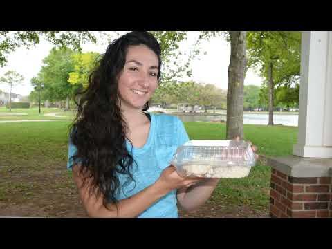 200 Clear 8 x 8 x 3 Microwavable Hinged Lid OPS Clamshell #TakeOut #Containers, E10005891, $59.88