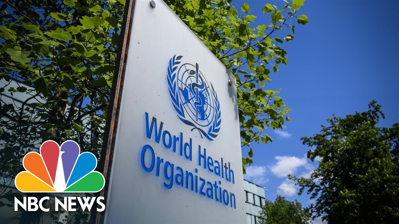 WHO Meets To Determine If Monkeypox Is A Global ‘Public Health Emergency’