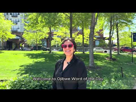 Hay' = Oops, shucks, aw darn (Ojibwe Word of the Day)
