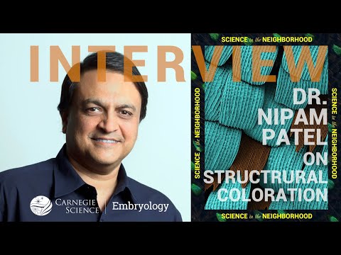 Leading biologist Nipam Patel on Structural Coloration // Interview