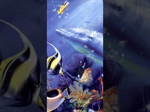 Bottlenose dolphin live wallpaper | Dolphin Underwater Wallpaper