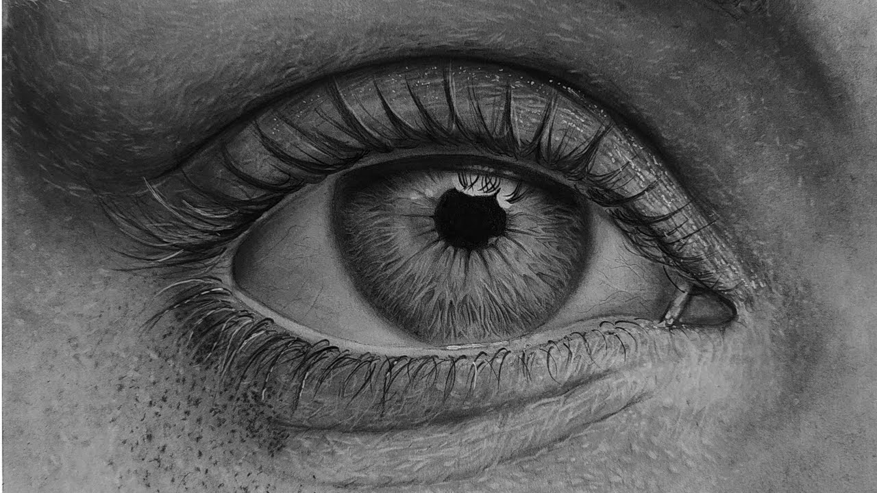 shubhamringole (Shubham Rajendra Ingole) · GitHub