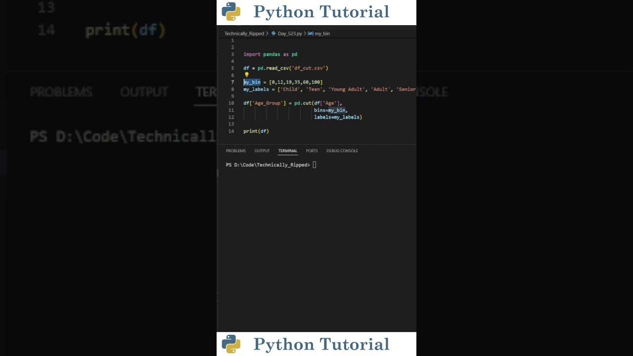 Binning Data With Pandas | Python Tutorial