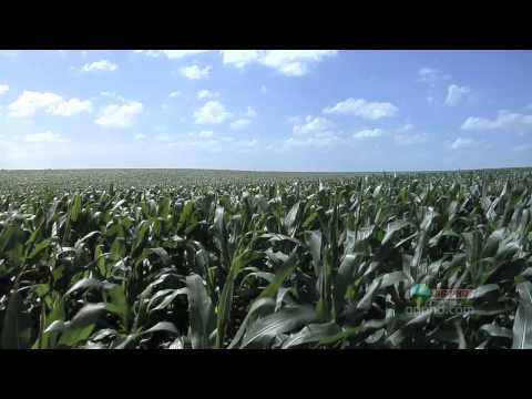 Potassium & Your Crop #649 (Air Date 9/12/10)
